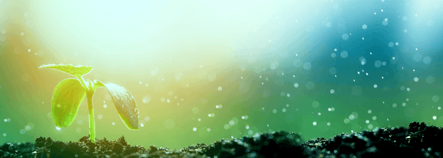 Search | Washington Recovery Help Line