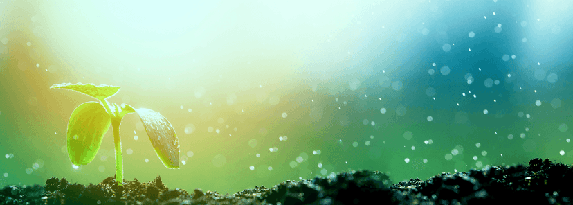 Search | Washington Recovery Help Line